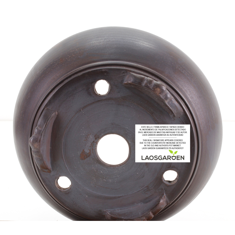 maceta bonsai, Akira, Shouzan, Watanabe, Akira, Tokoname, Katsuyama