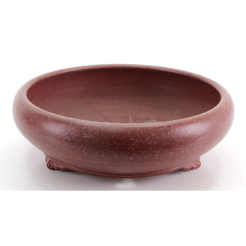 maceta bonsai, Akira, Shouzan, Watanabe, Akira, Tokoname, Katsuyama