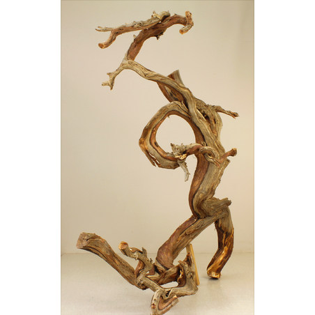 Wood for tanuki bonsai 13