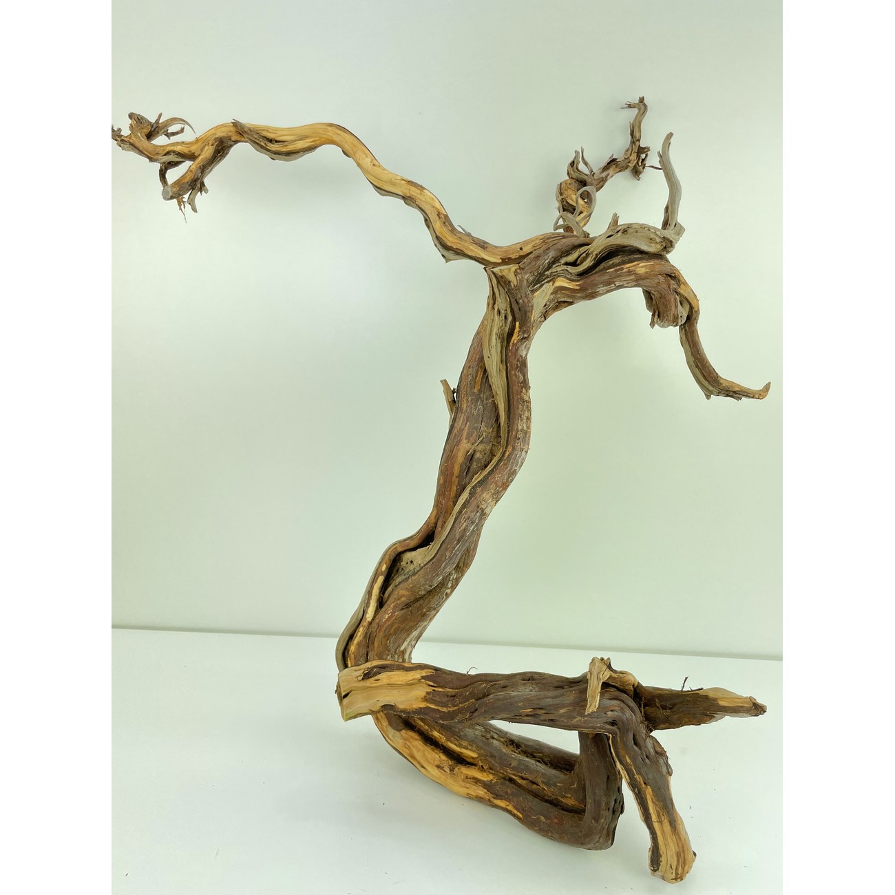 Wood for tanuki bonsai 58