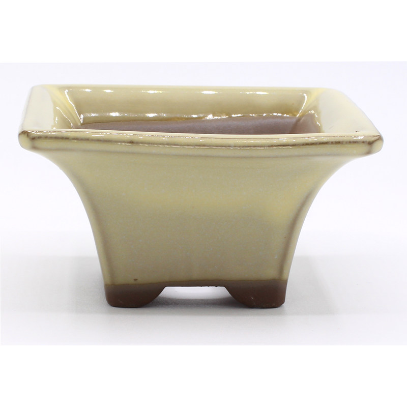 bonsai pot white square Mizutani Yokkaichi