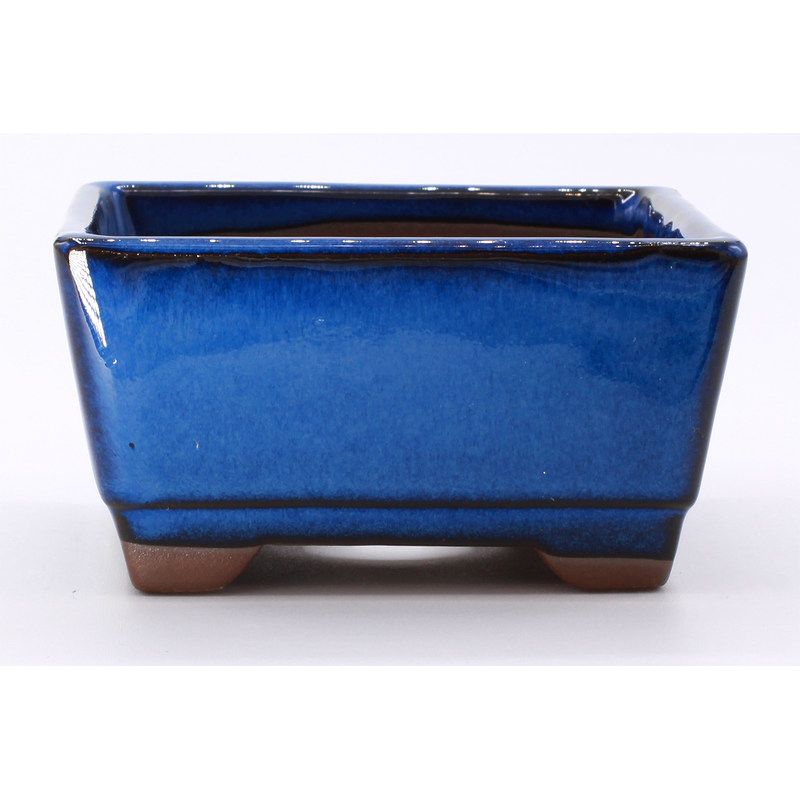 Maceta bonsái cuadrado azul Yokkaichi Mizutani