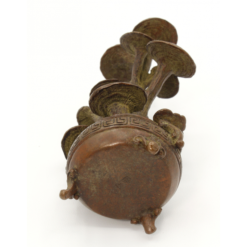 Tenpai japonés cobre-bronce 110 setas shitake | Laos Garden