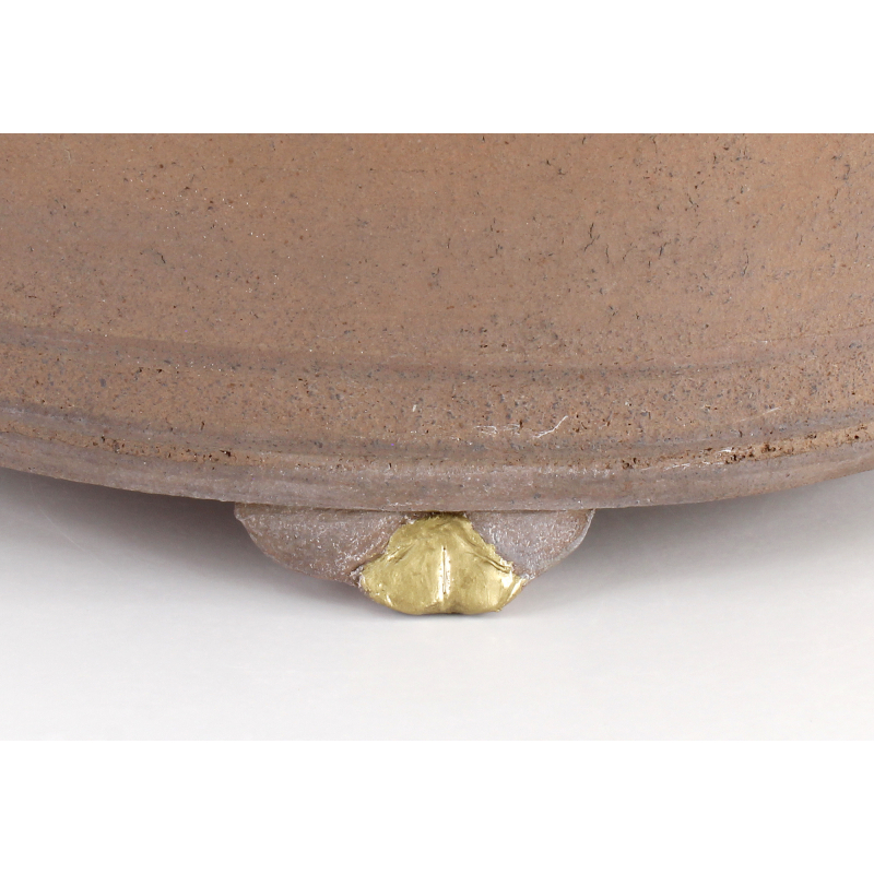 maceta bonsai, Suzuki, Syu Zan, Syuzan, Nagoya, LaosGarden