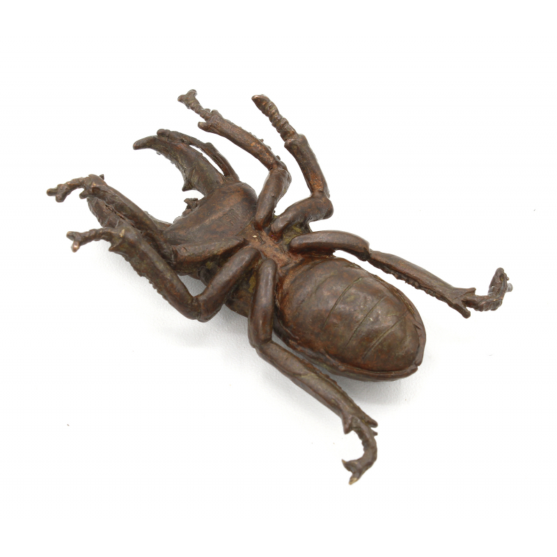 Japanese copper-bronze tenpai 117 beetle