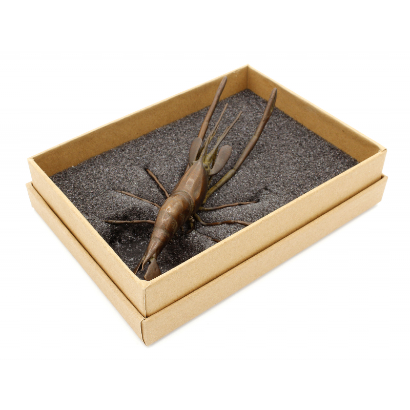Japanese copper-bronze tenpai 132 prawn