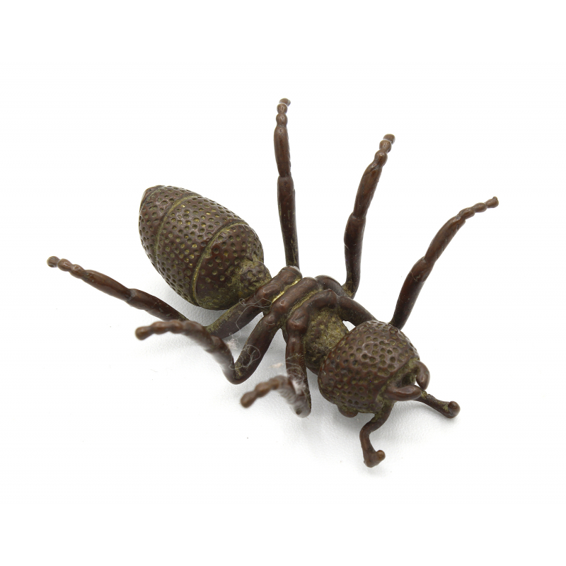 Japanese copper-bronze tenpai 135 ant