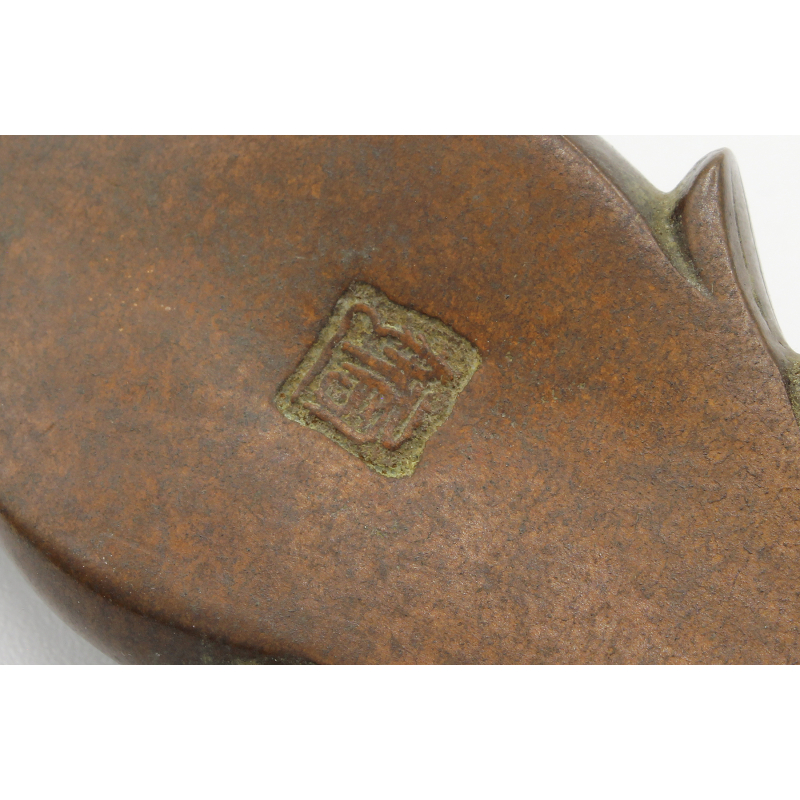 Japanese copper-bronze tenpai 146 XL catfish
