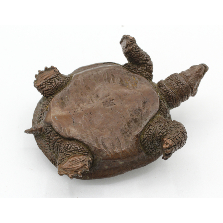 Japanese copper-bronze tenpai 158 XL turtle