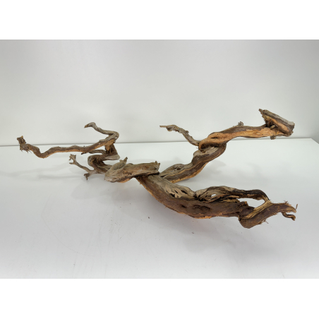 Wood for tanuki bonsai 67