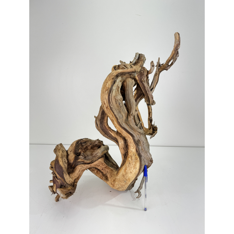 Wood for tanuki bonsai 72
