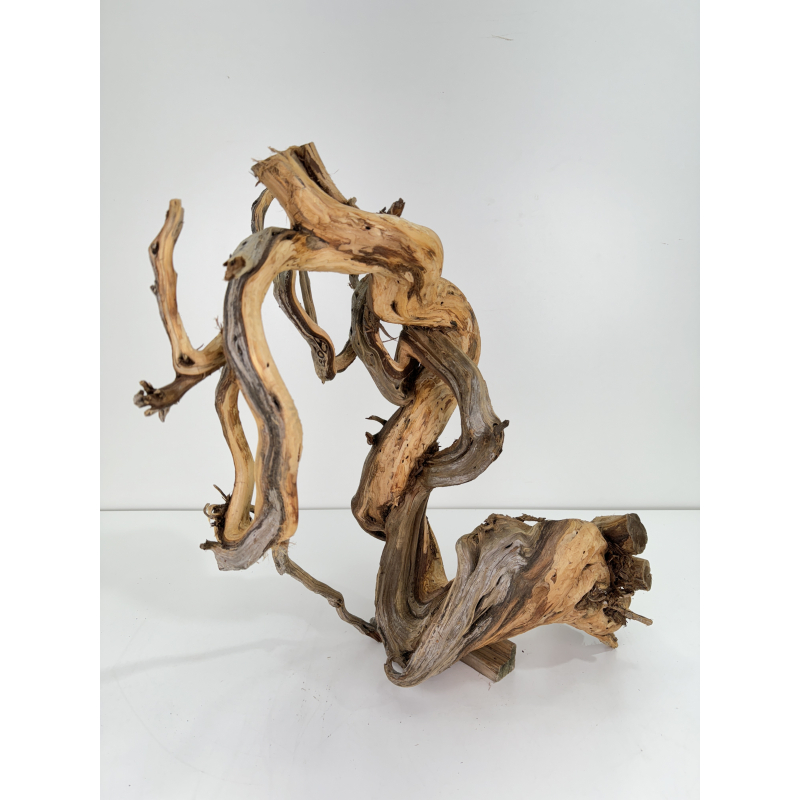 Wood for tanuki bonsai 72