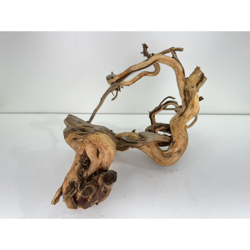 Wood for tanuki bonsai 72