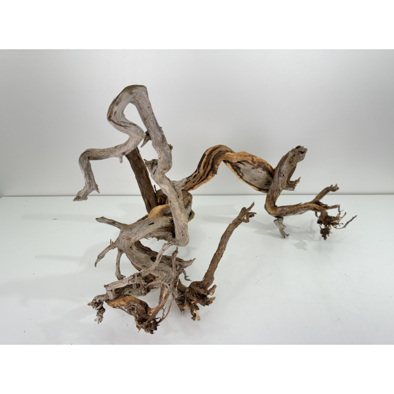 Wood for tanuki bonsai 78
