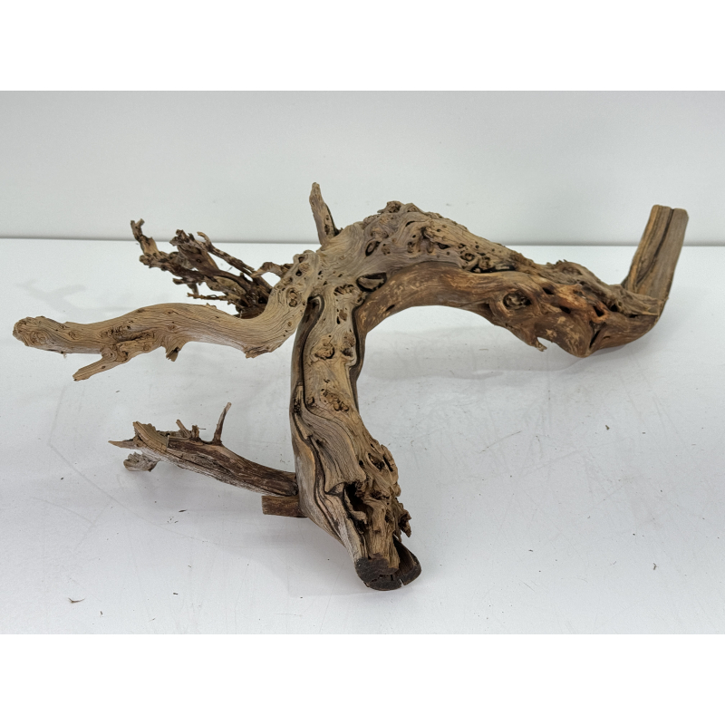 Wood for tanuki bonsai 102