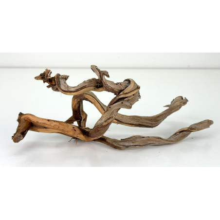 Wood for tanuki bonsai 135