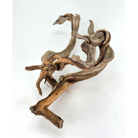 Wood for tanuki bonsai 135