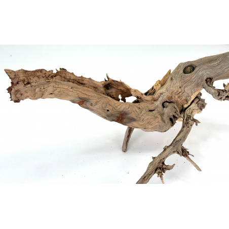 Wood for tanuki bonsai 138
