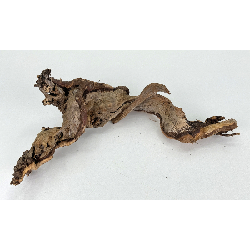 Wood for tanuki bonsai 143