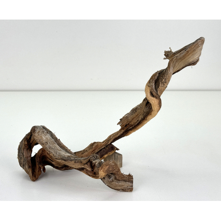 Wood for tanuki bonsai 151