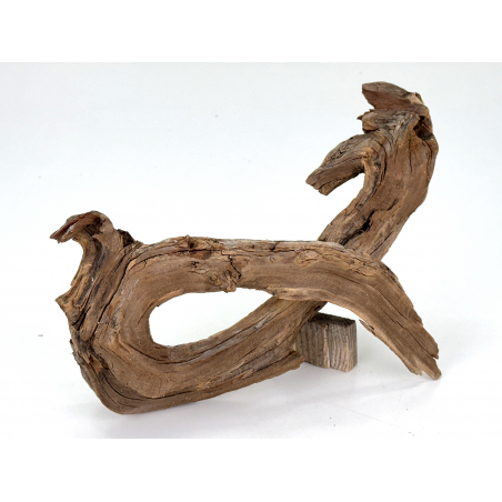 Wood for tanuki bonsai 155