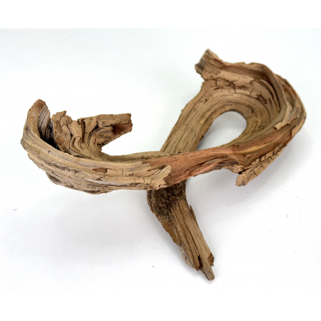 Wood for tanuki bonsai 155