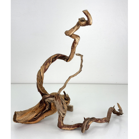 Wood for tanuki bonsai 167
