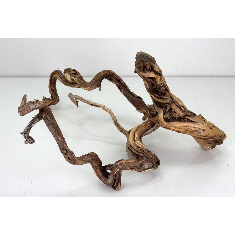 Wood for tanuki bonsai 167