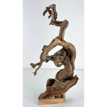 Wood for tanuki bonsai 190