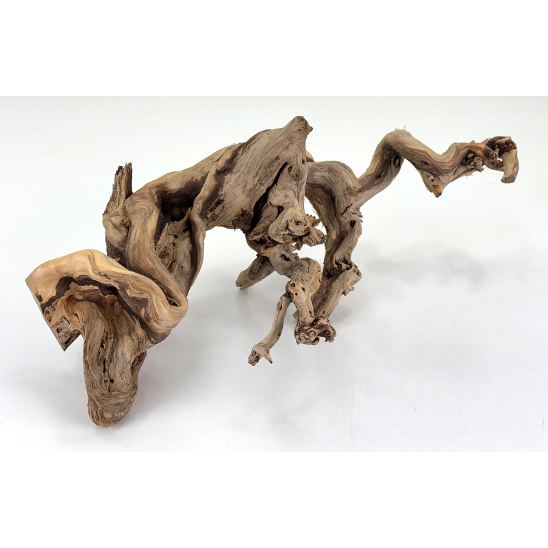 Wood for tanuki bonsai 190